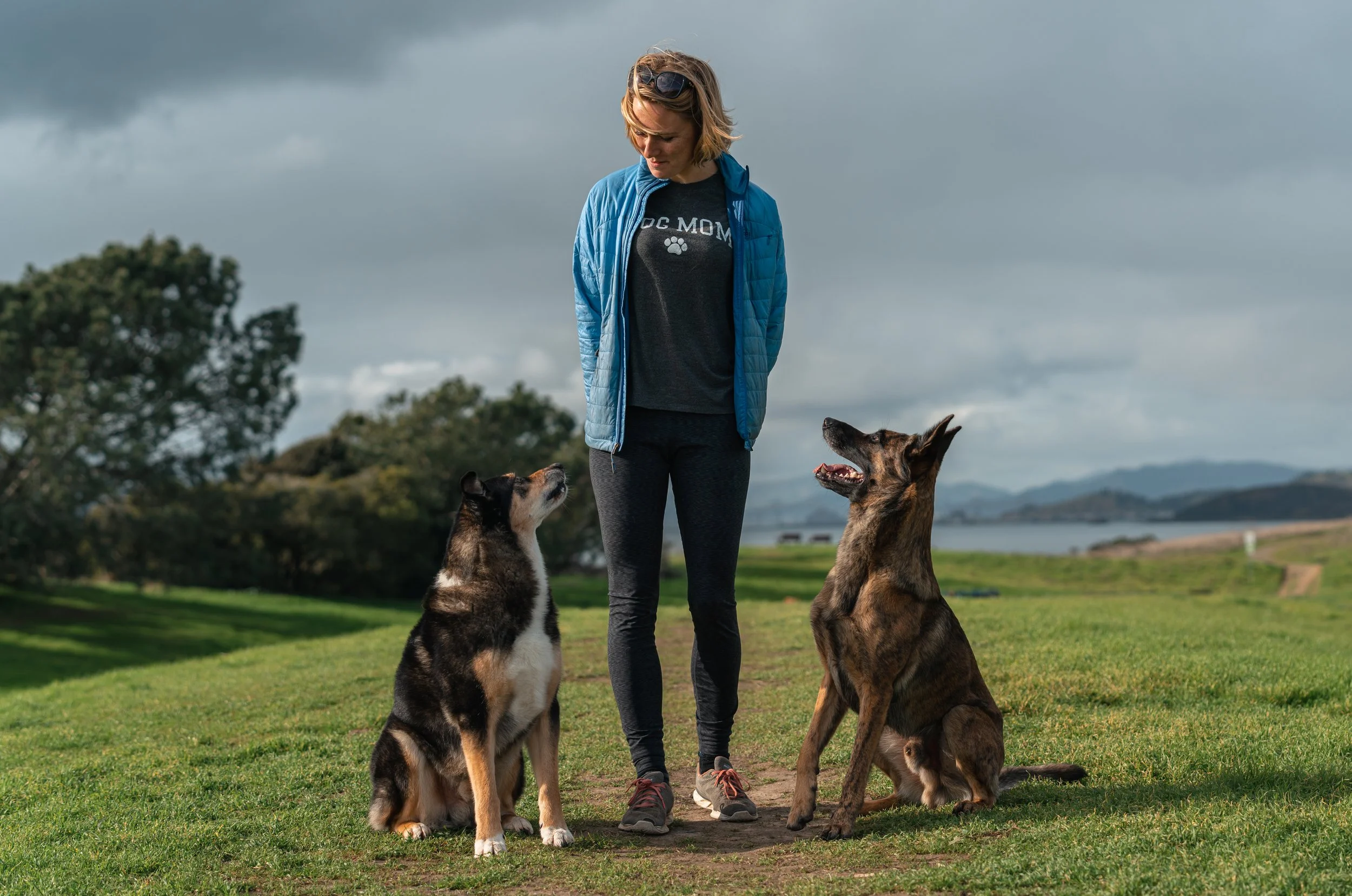 Content Hub — The K9 Advocate