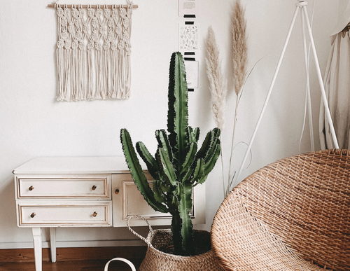 9 Interior Design Styles Explained: Ultimate Guide For Beginners ...