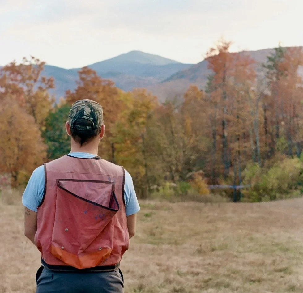 Bear Island Forestry