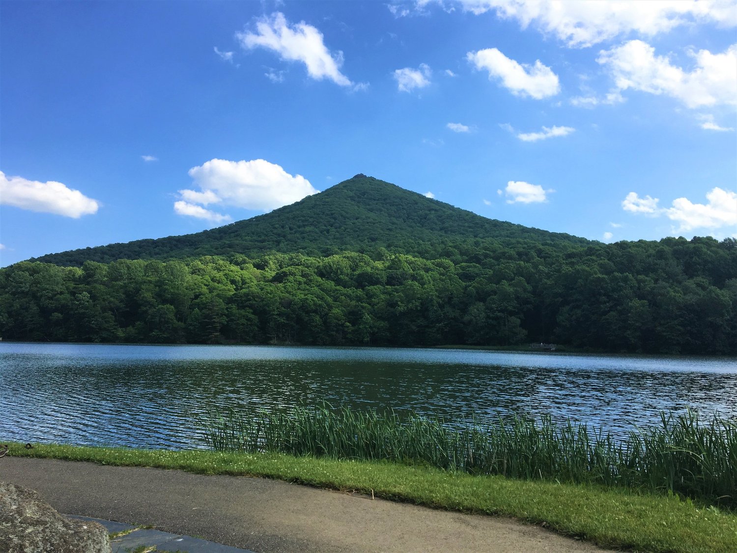 HOME [www.gfwcbedford.org]