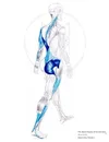 Fascia Fix: How Fascial Manipulation Relieves Pain and Restores ...