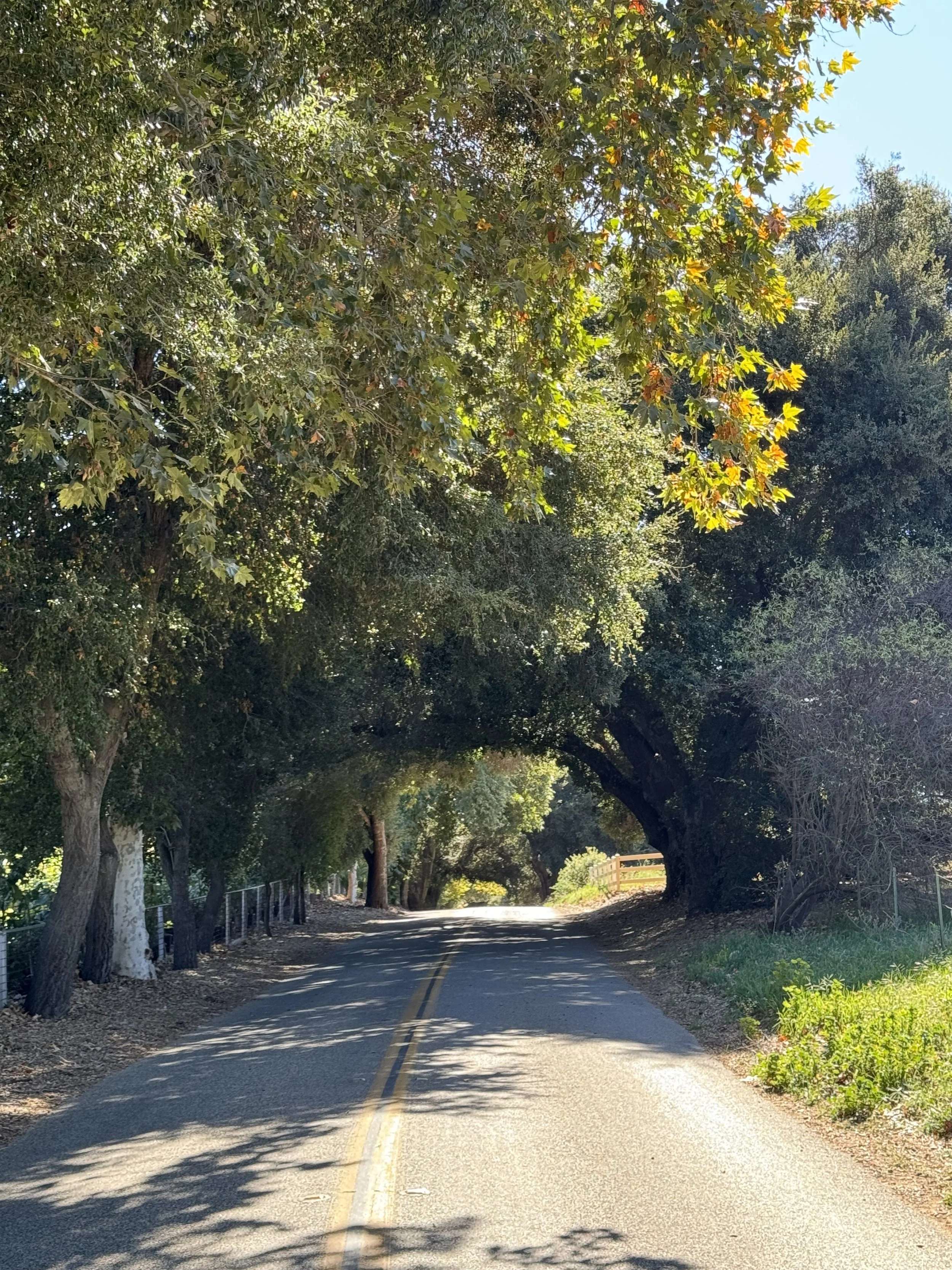 The Heritage Fallbrook