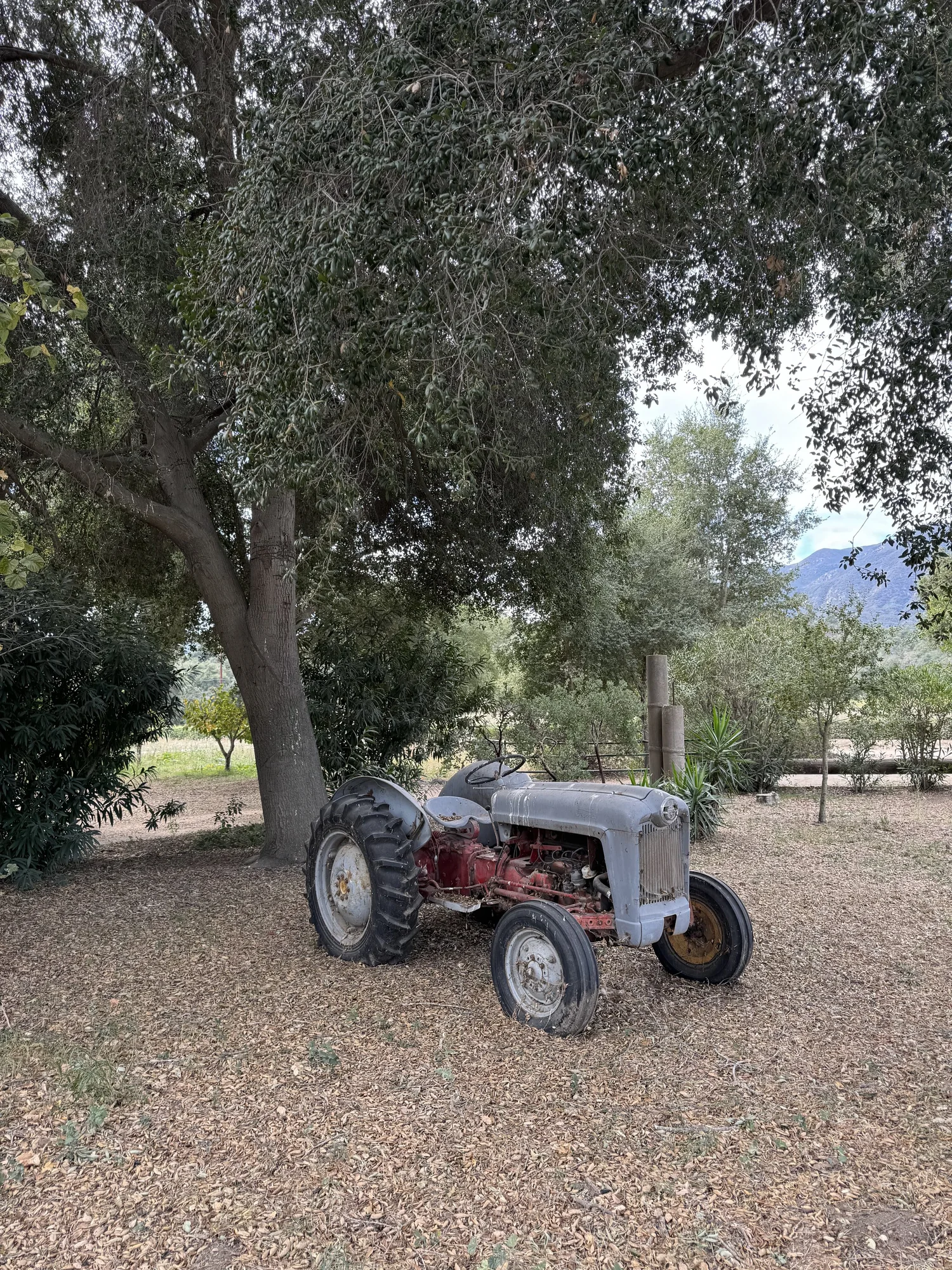 The Heritage Fallbrook