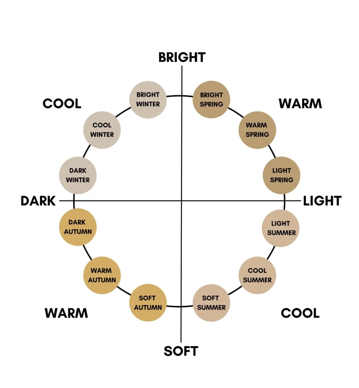 In Person - Chicago Color Analysis — YOUR COLOR STUDIO