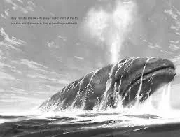 Book Review of 'The Lost Whale' by Hannah Gold, illus. Levi Pinfold ...