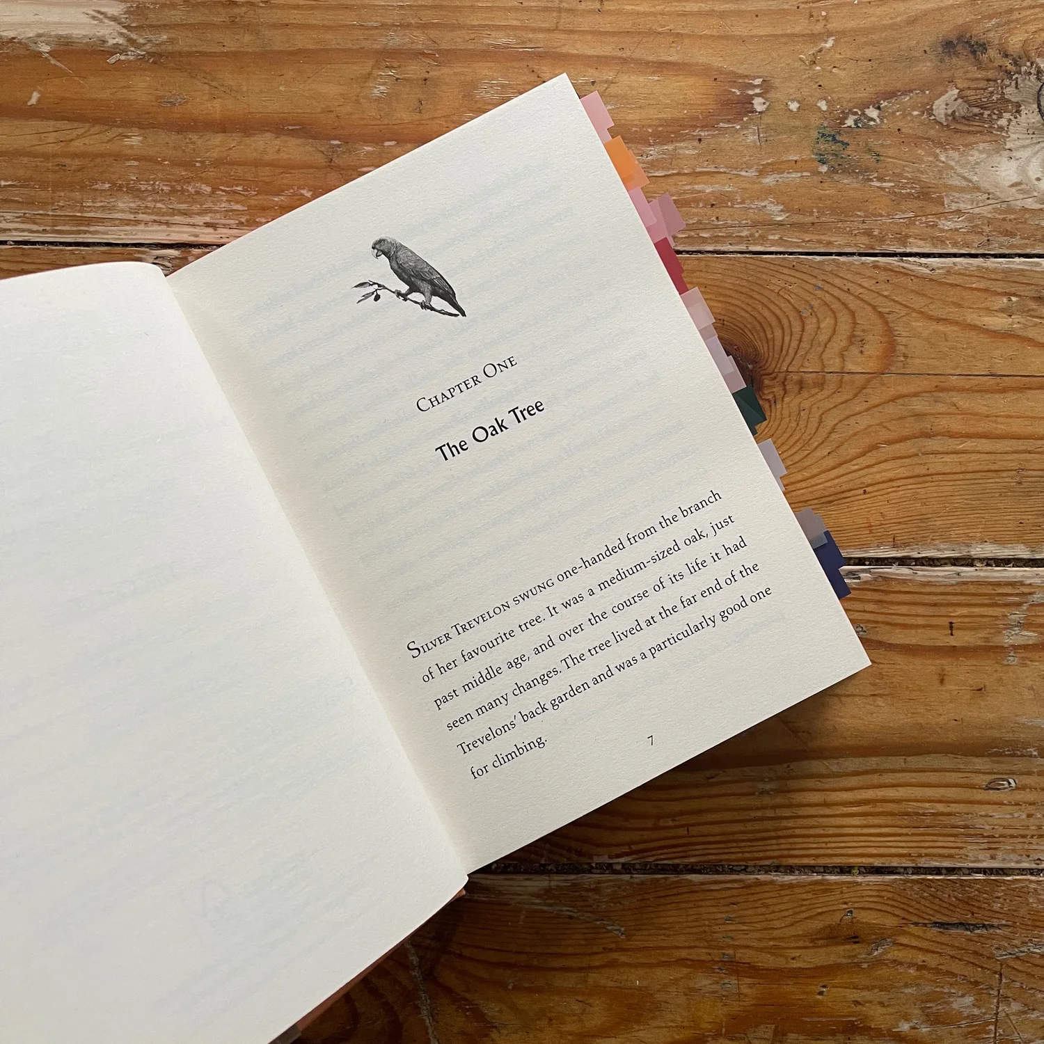 Book Review: 'Turtle Moon' by Hannah Gold (HarperCollins) For ages 9 ...