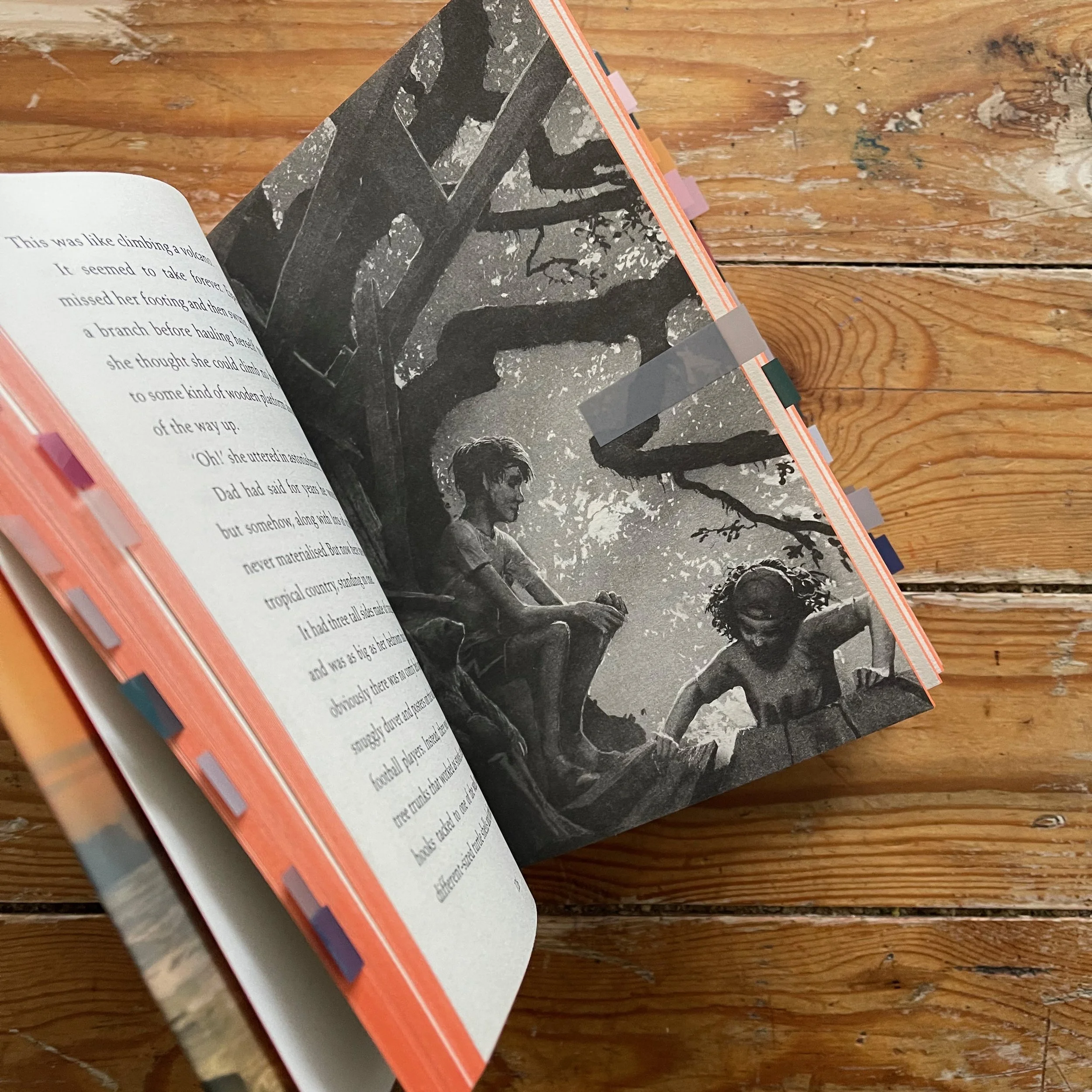 Book Review: 'Turtle Moon' by Hannah Gold (HarperCollins) For ages 9 ...