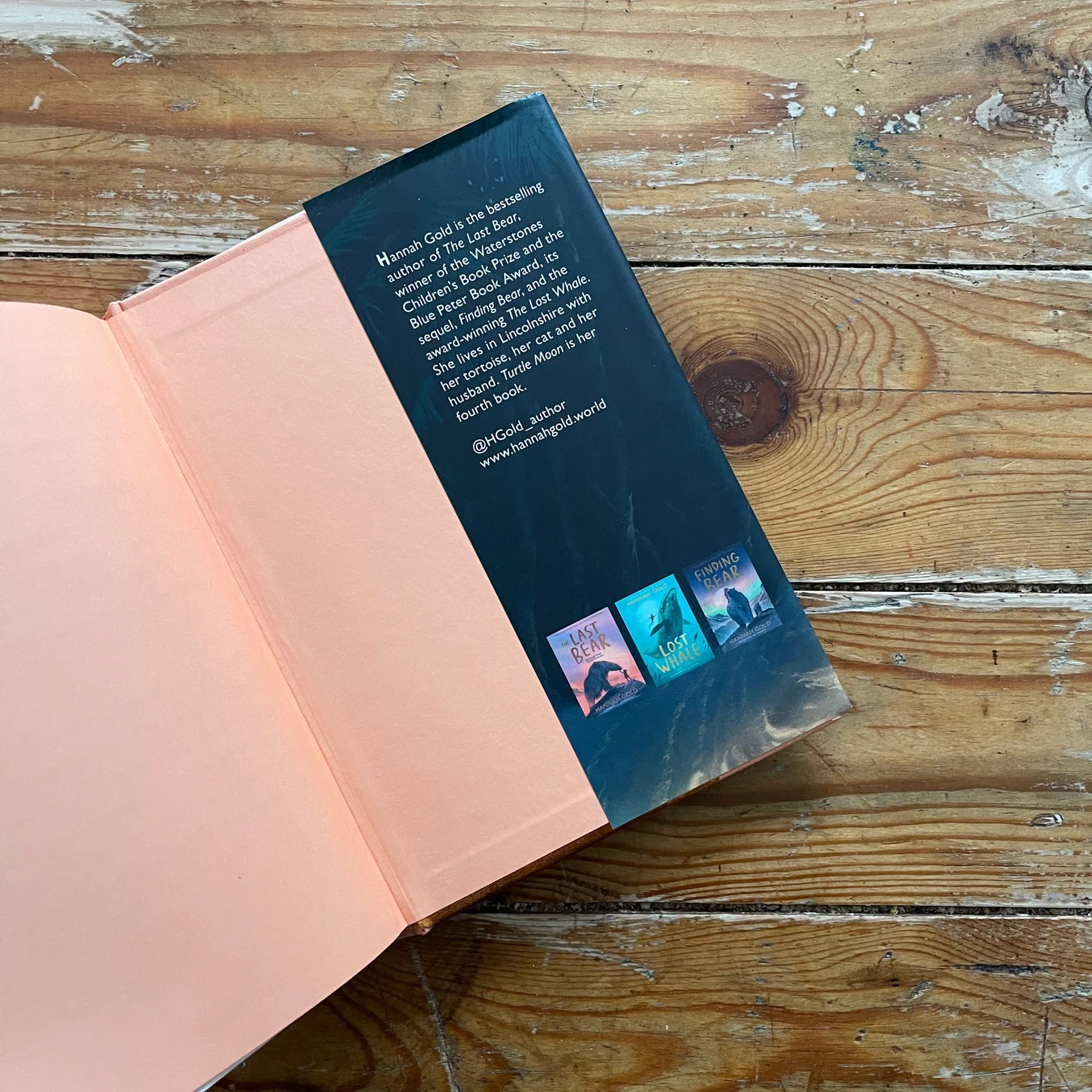 Book Review: 'Turtle Moon' by Hannah Gold (HarperCollins) For ages 9 ...