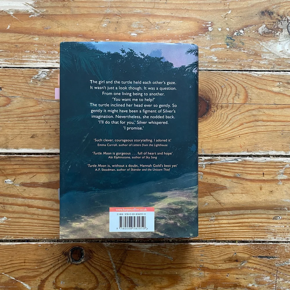 Book Review: 'Turtle Moon' by Hannah Gold (HarperCollins) For ages 9 ...