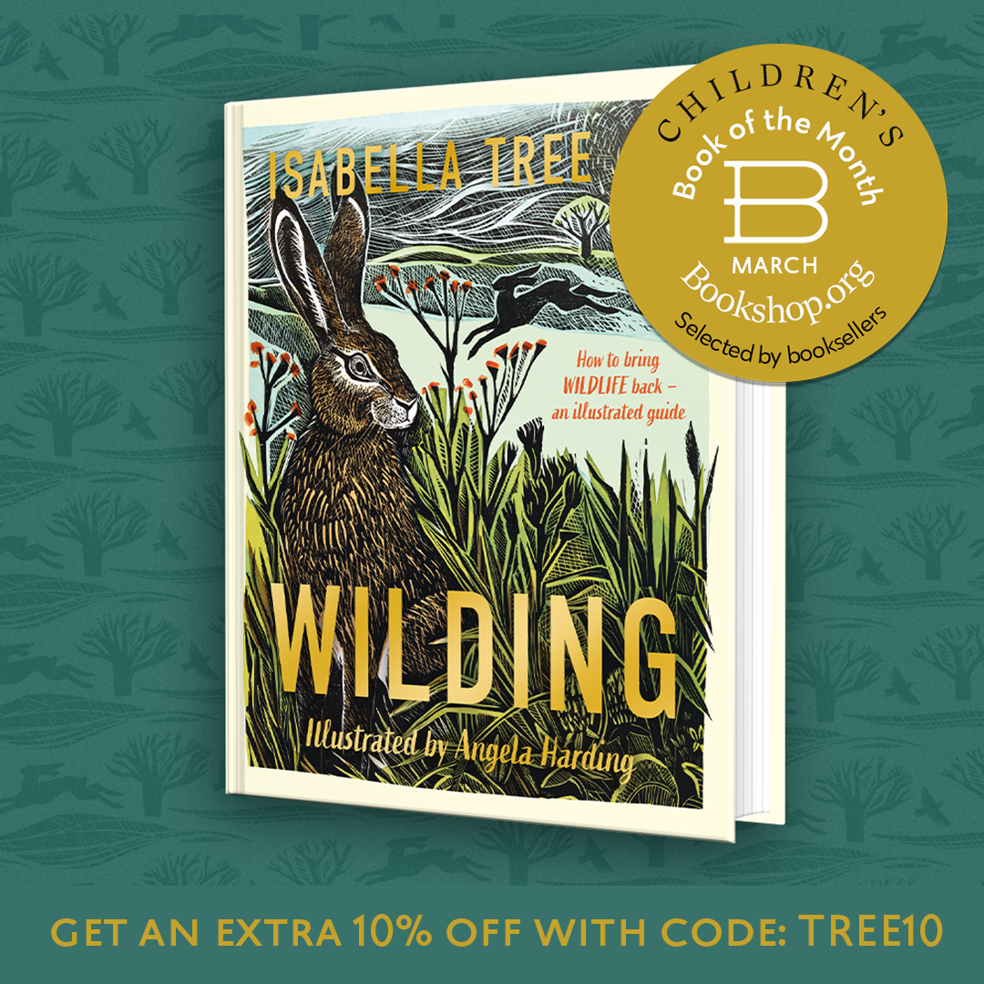 Book Review of 'Wilding' by Isabella Tree — The Kids Books Curator
