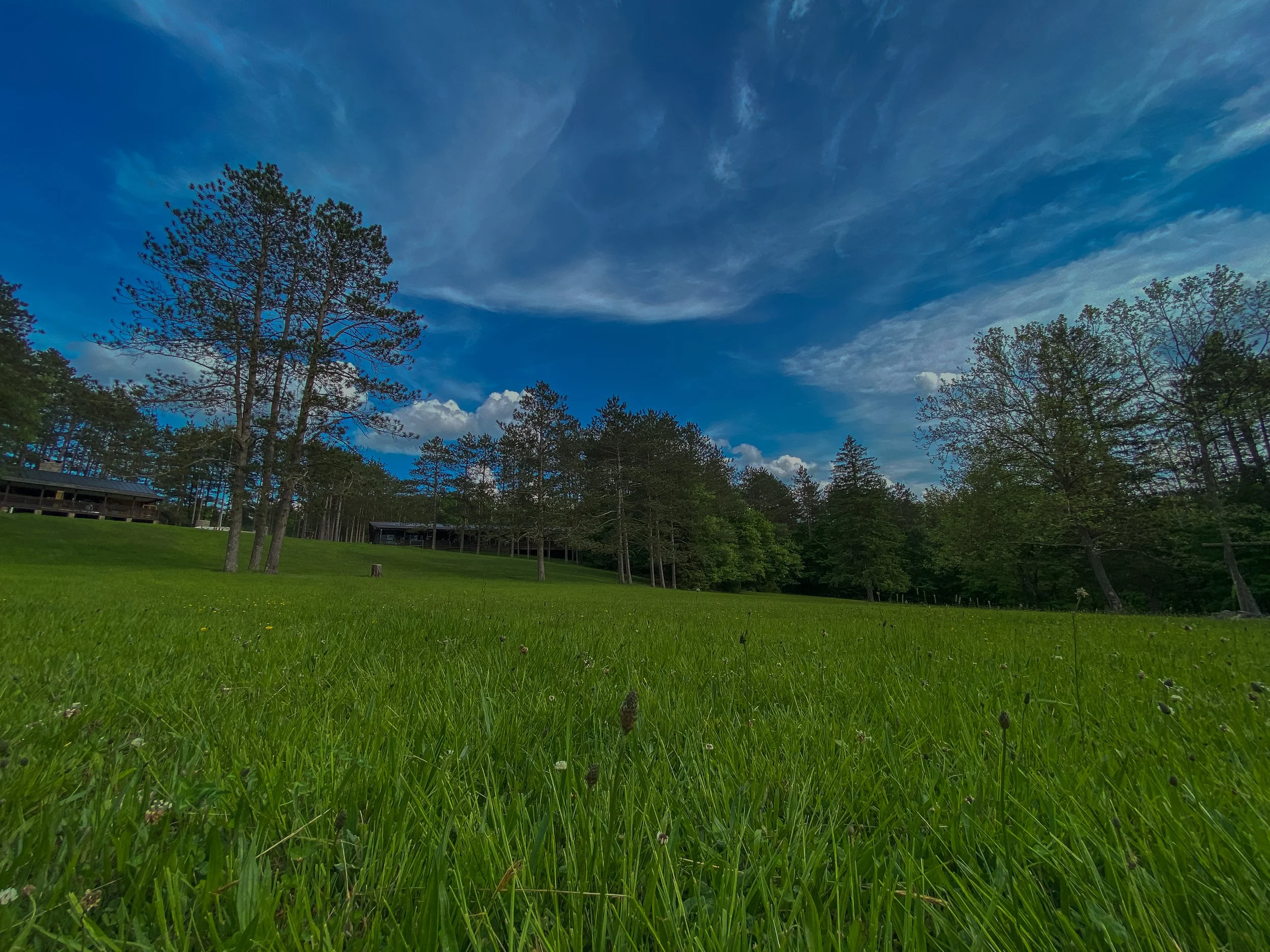 ABOUT — CAMP TREXLER