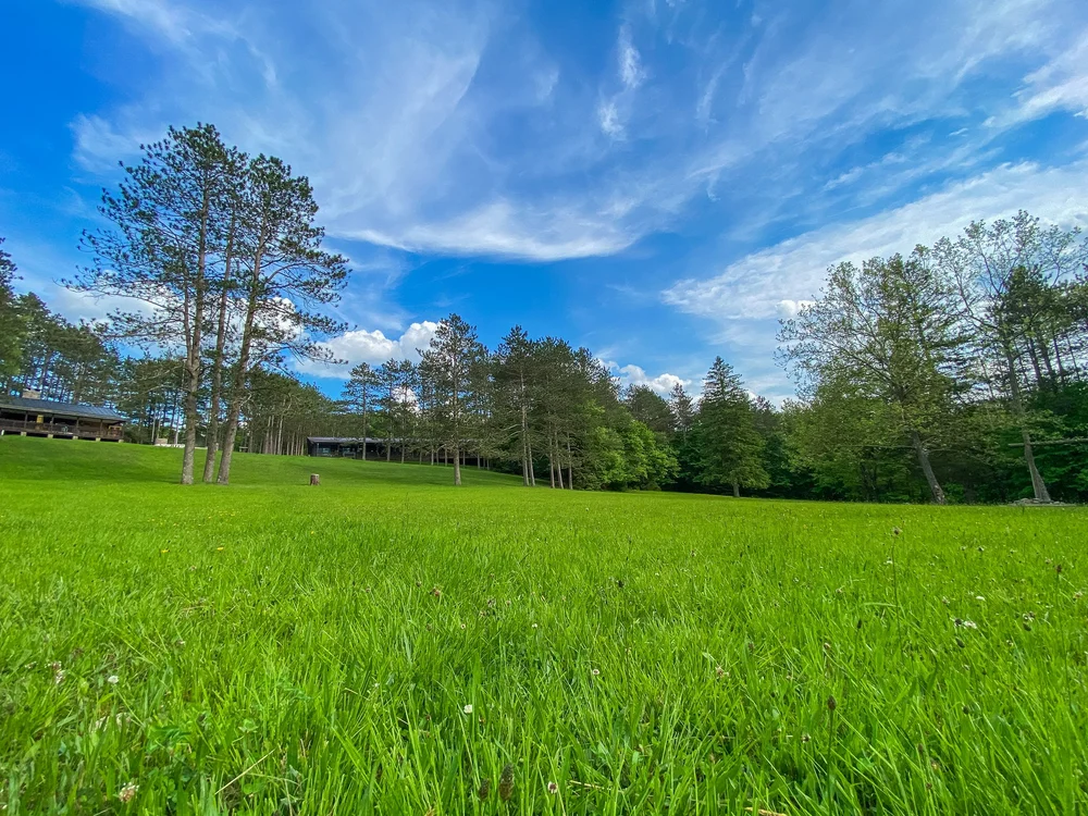 Facilities — CAMP TREXLER