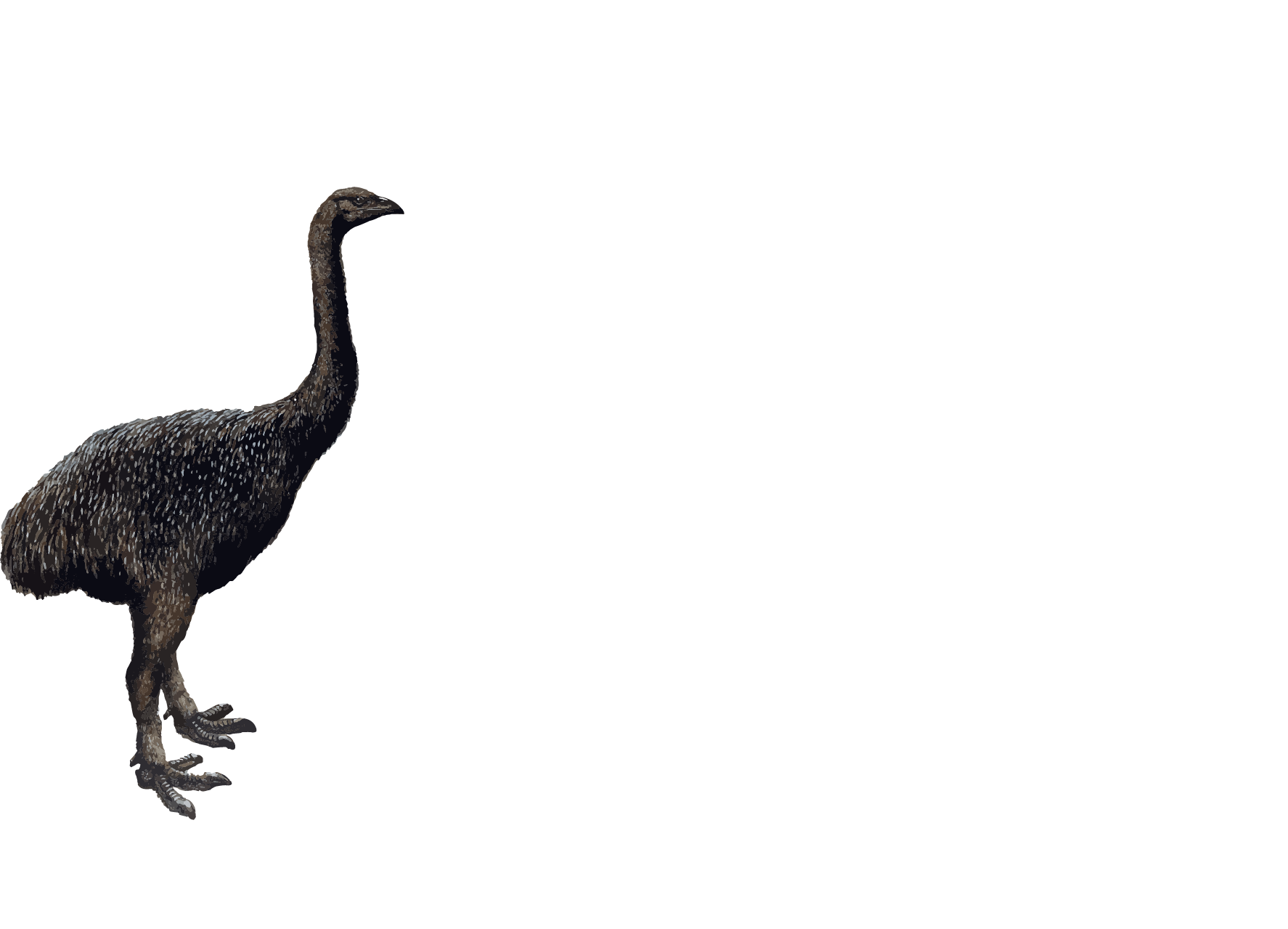 Moa Stone Estate