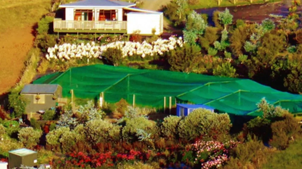 Moa Stone Estate