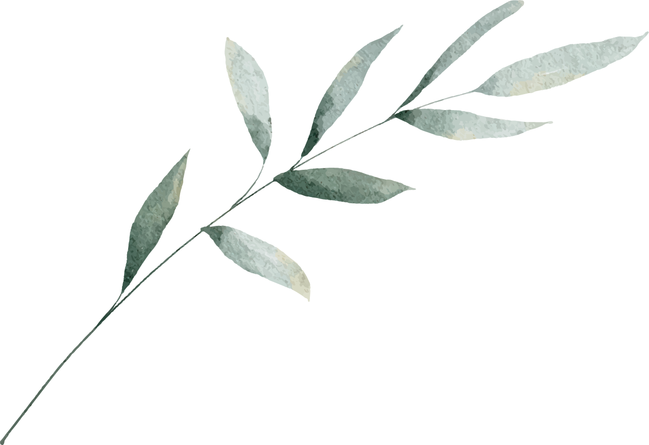 About — Sanctuary NZ