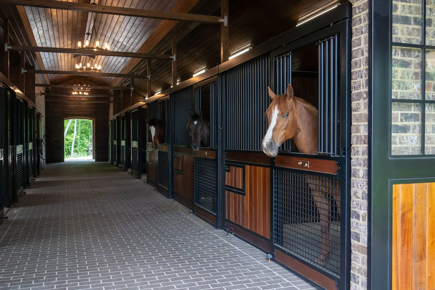 Cameron Oaks Stables