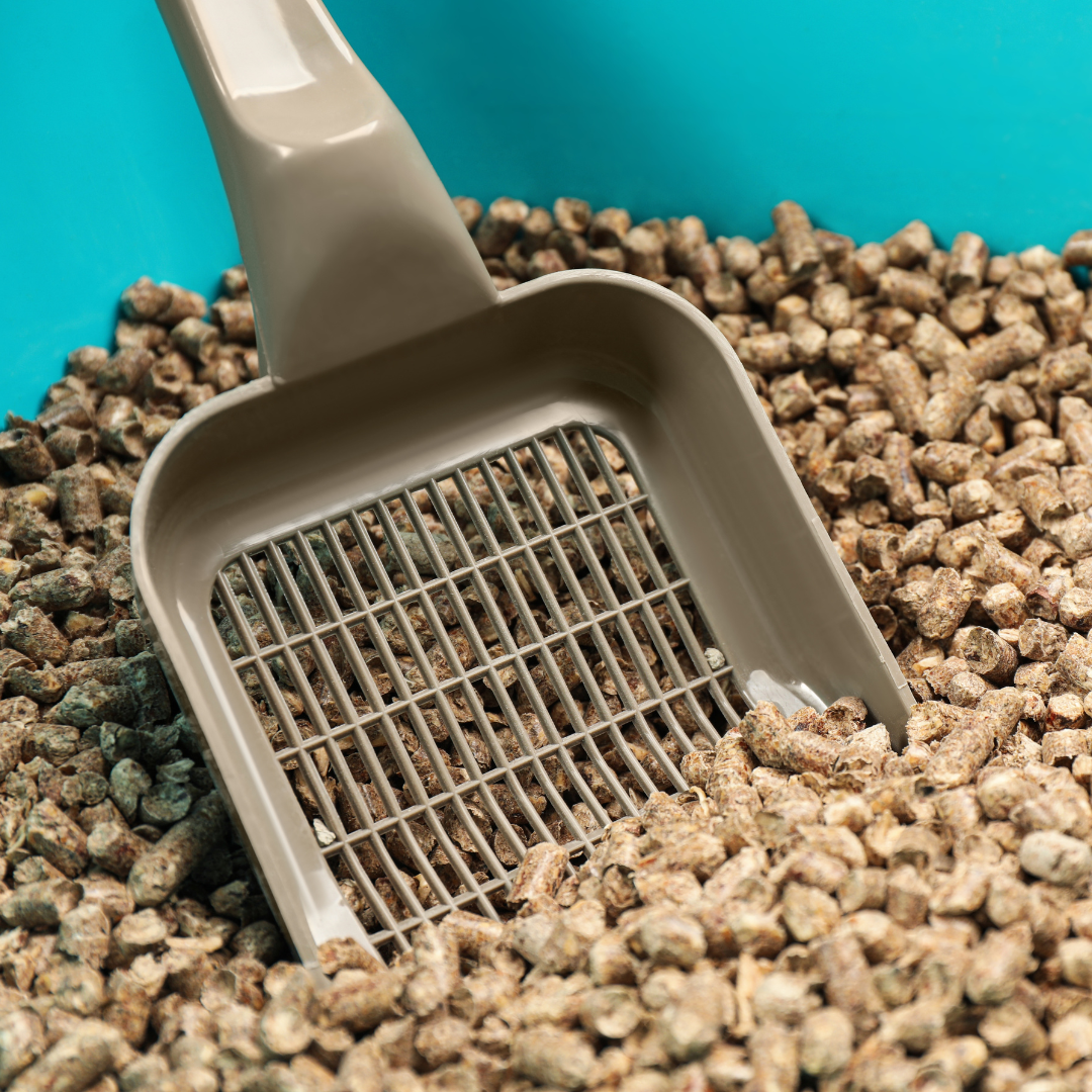 Elite Cat Litter — Elite Wood Pellets