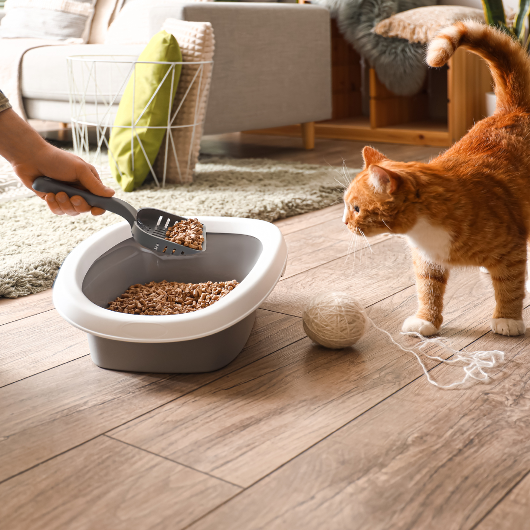 Elite Cat Litter — Elite Wood Pellets