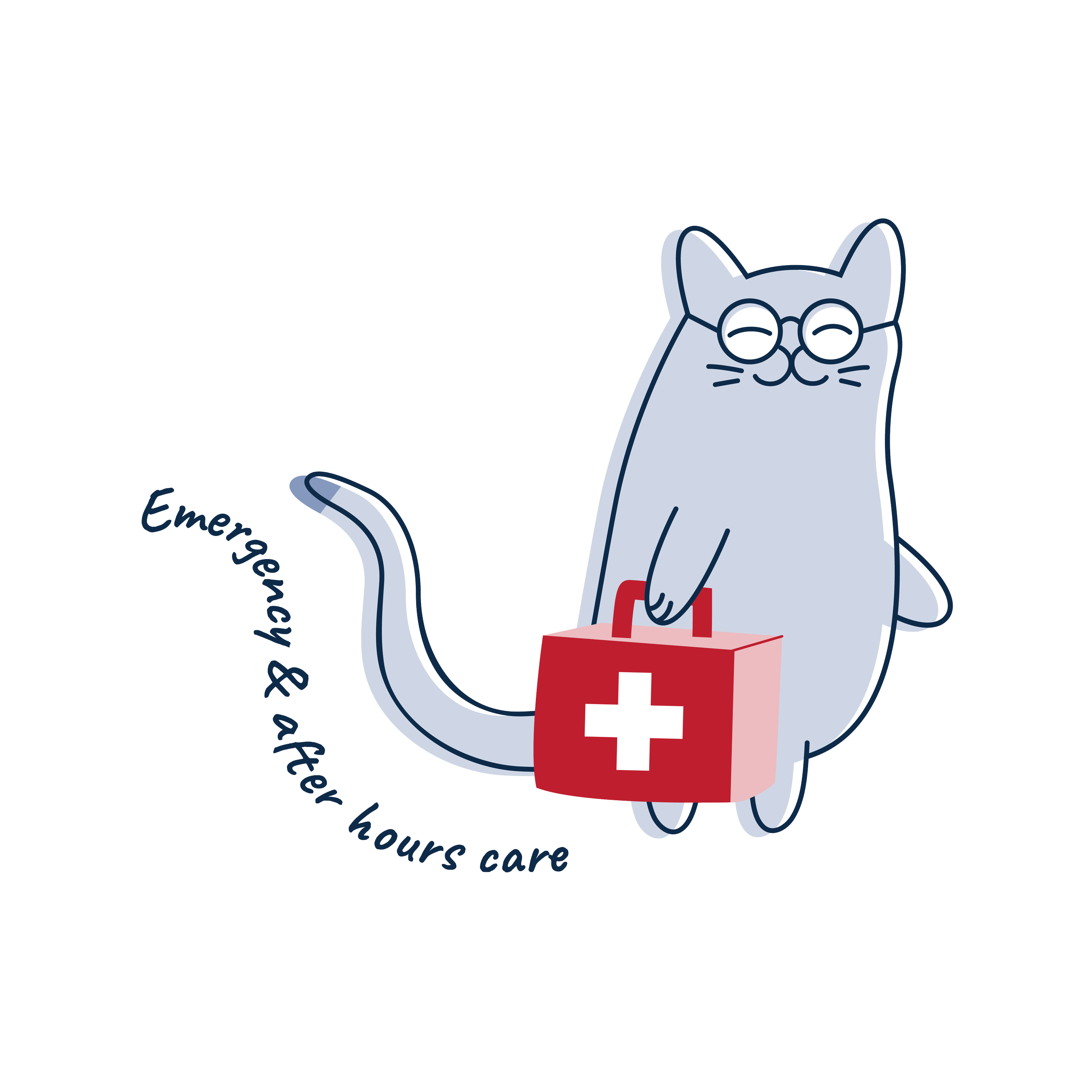 Emergency After-hours — Takurua Vets