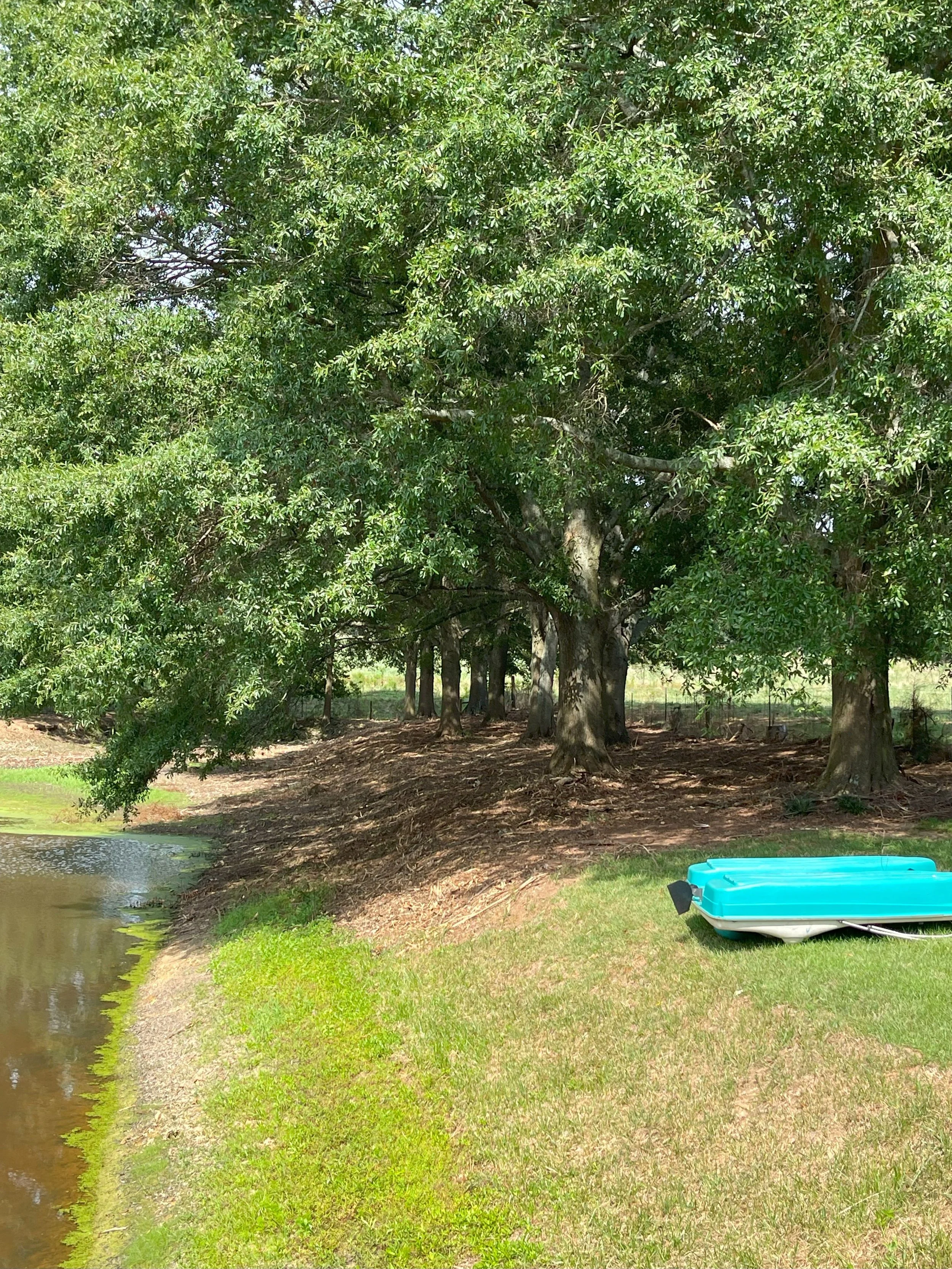 Pond Dredging and Creek Bank Maintenance Services in Oconee County, GA ...