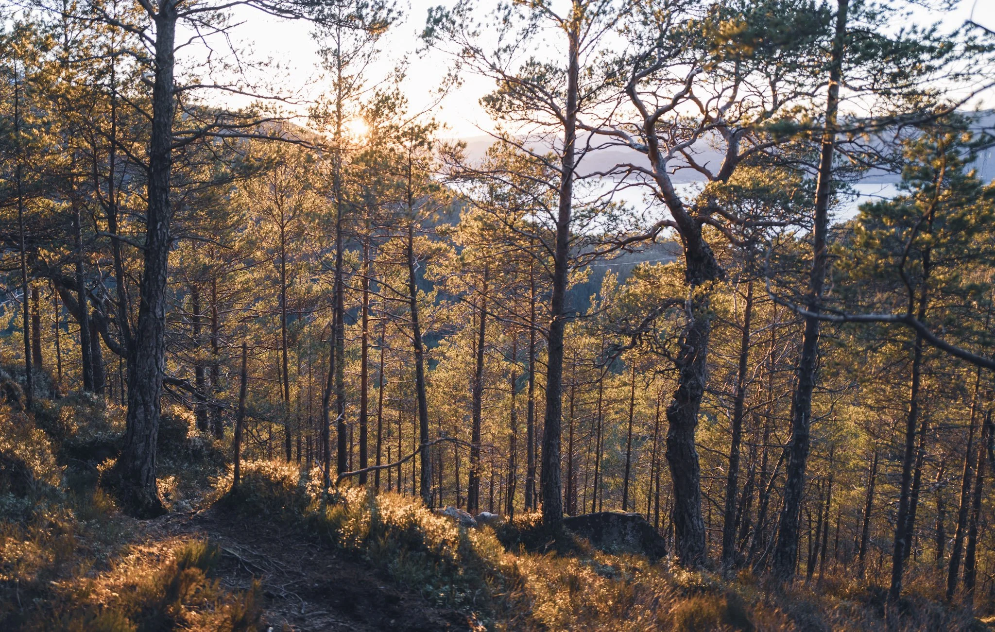 Hotel Sundal - Det lille historiske hotellet i Hardanger