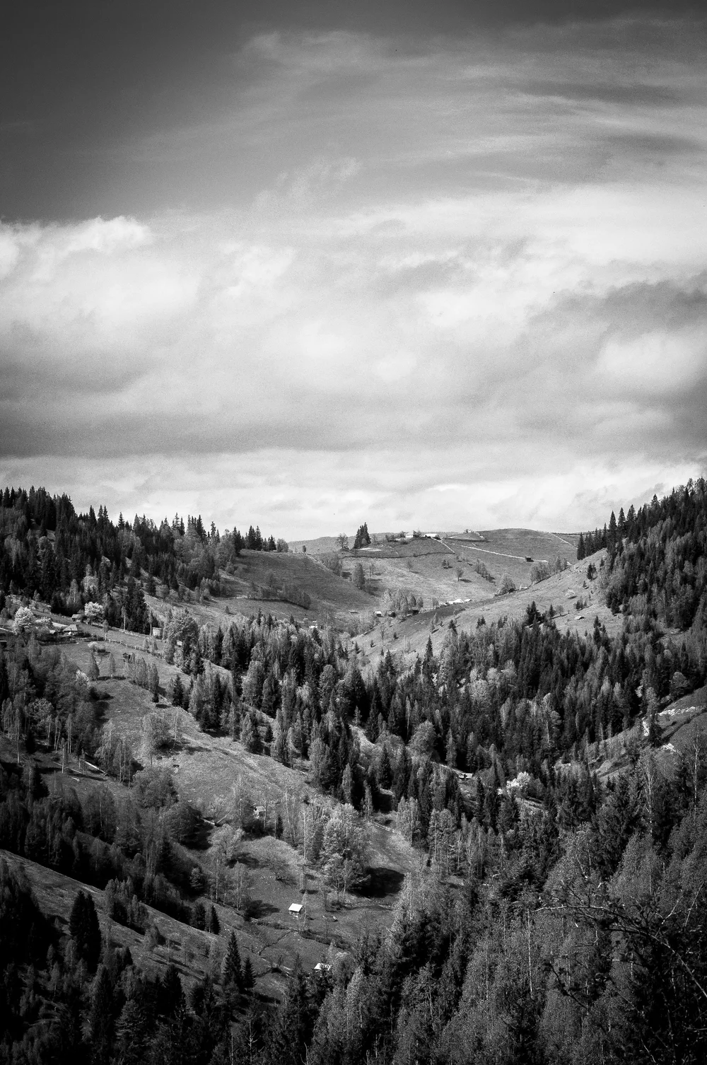 World Record Elk Hunts — BROADMOUTH CANYON