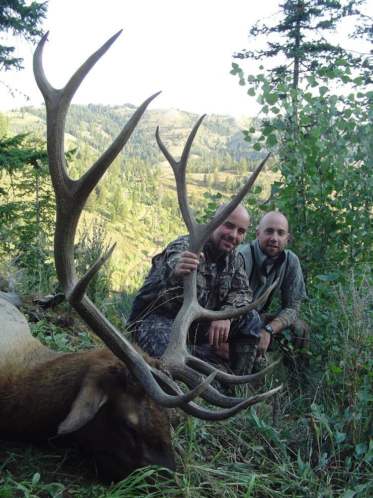 Guided Elk Hunts - 100% Average Success Rates — BROADMOUTH CANYON