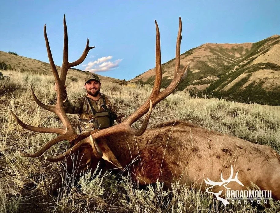 Guided Elk Hunts - 100% Average Success Rates — BROADMOUTH CANYON