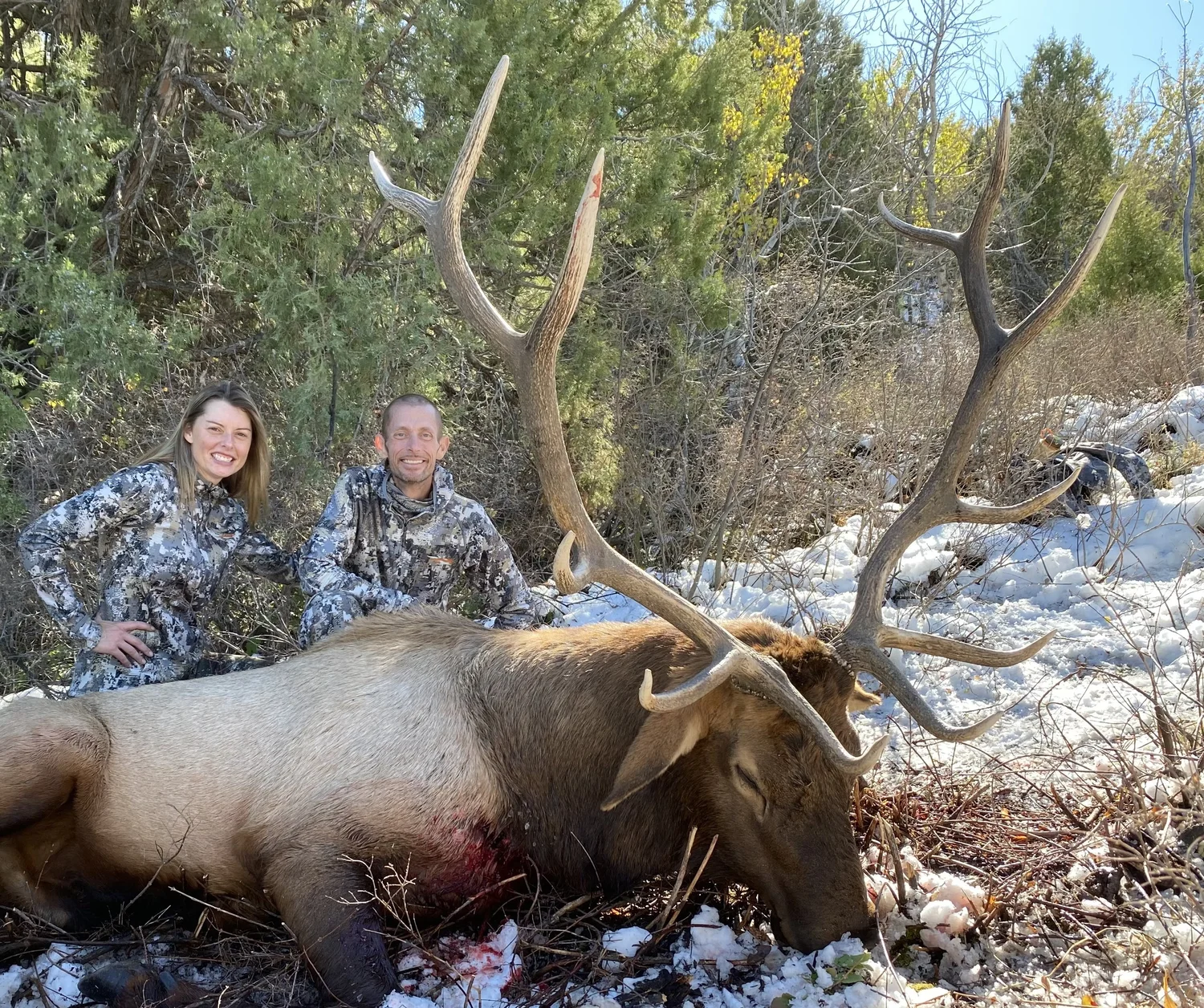 Guided Elk Hunts - 100% Average Success Rates — BROADMOUTH CANYON