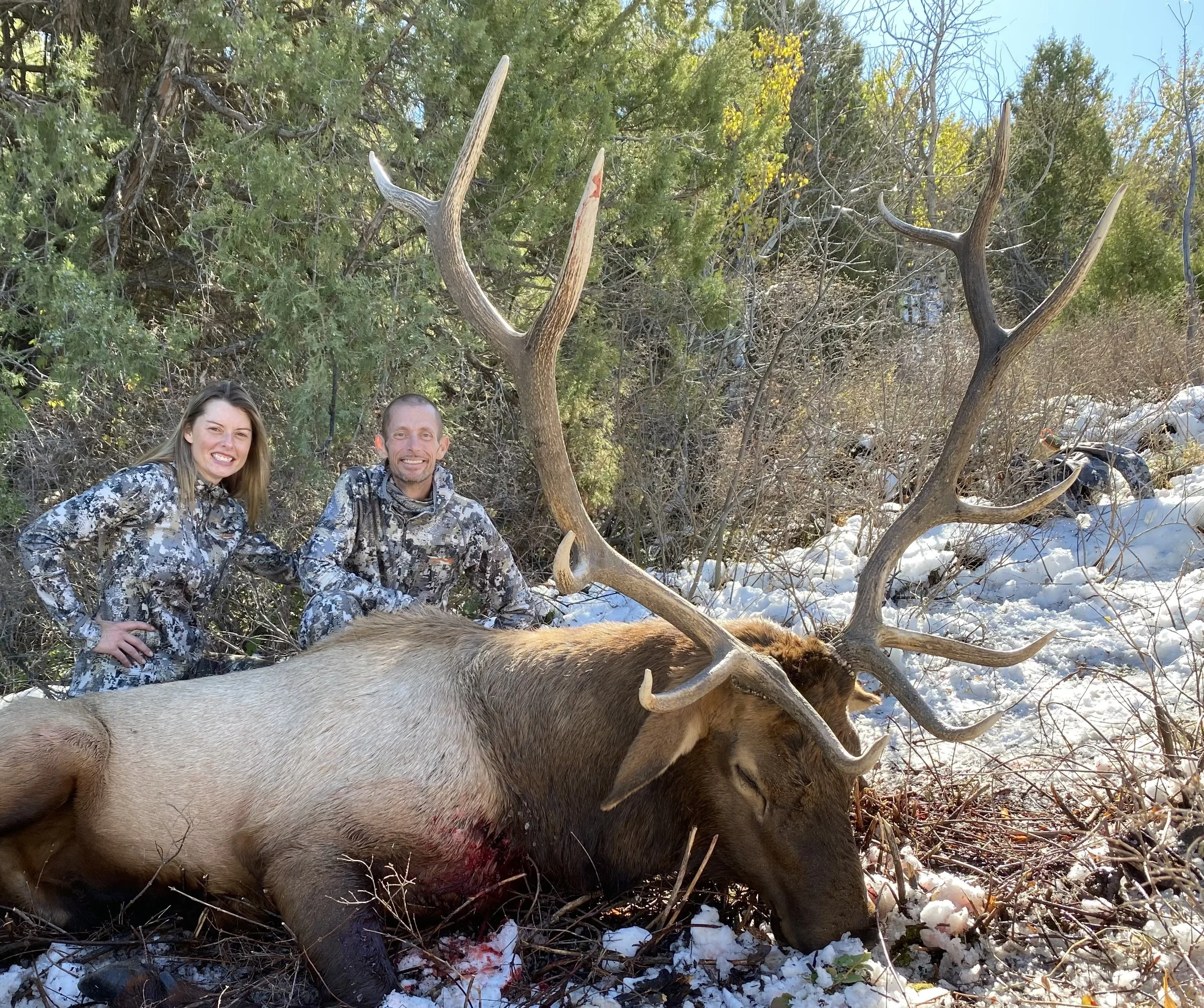 Guided Elk Hunts - 100% Average Success Rates — BROADMOUTH CANYON