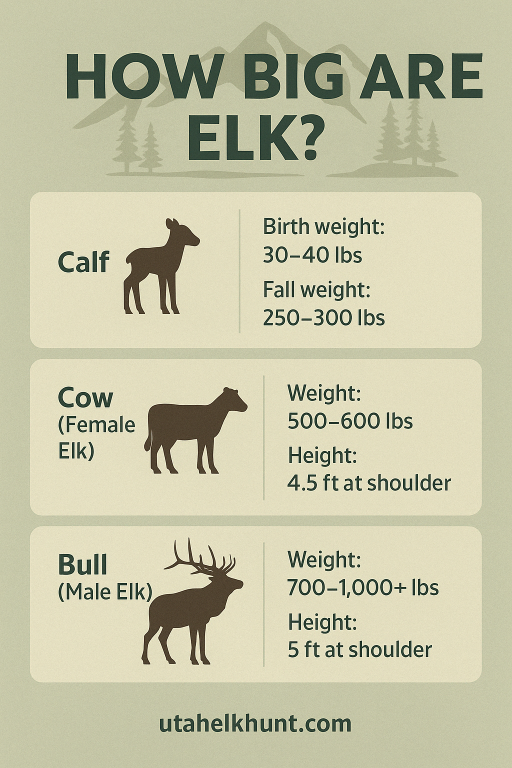 Elk Size Chart: Height, Weight & Antler Spread by Age — BROADMOUTH CANYON
