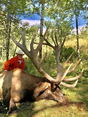 World Record Elk Hunts — BROADMOUTH CANYON