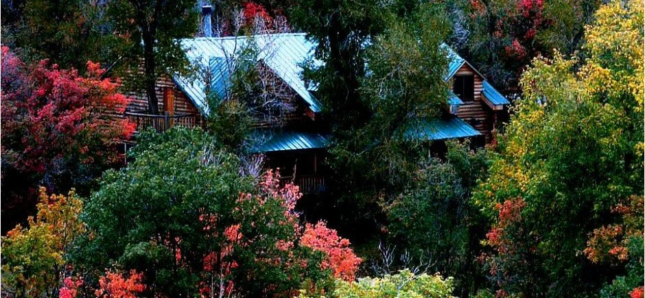 Guided Elk Hunts - 100% Average Success Rates — BROADMOUTH CANYON