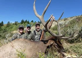 Guided Elk Hunts - 100% Average Success Rates — BROADMOUTH CANYON