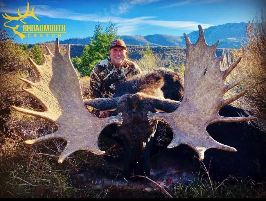 Guided Shiras Moose Hunts - 100% Average Success Rates — BROADMOUTH CANYON