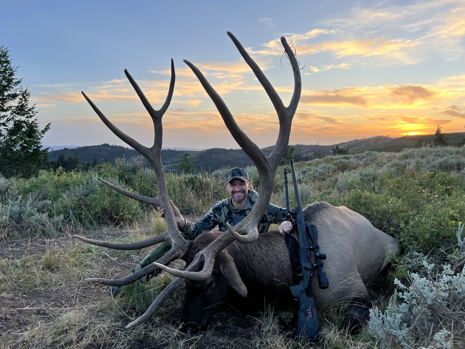 Average Trophy Elk Size Trends (2015–2025) in Western U.S. States ...