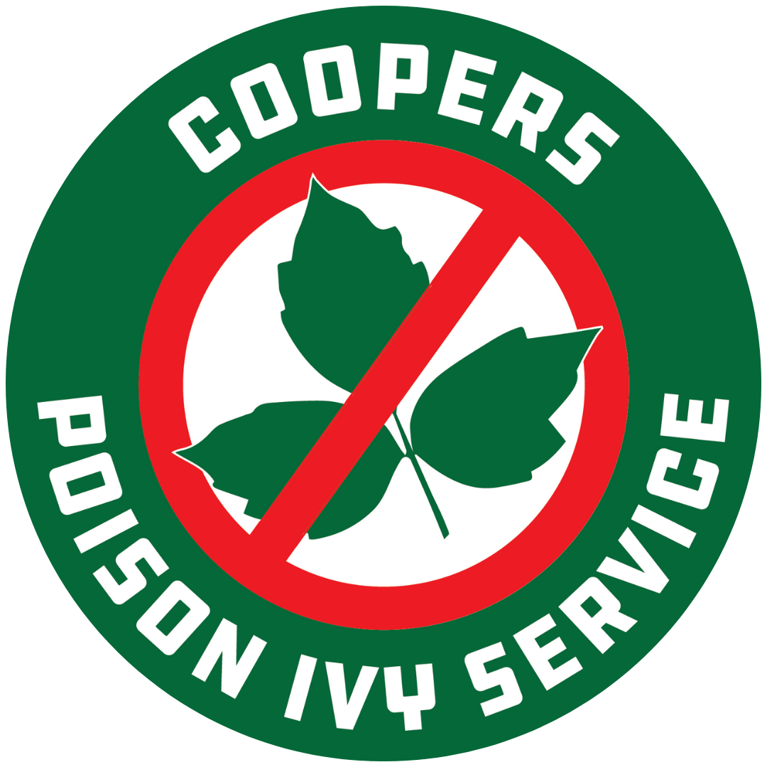 Cooper's Poison Ivy