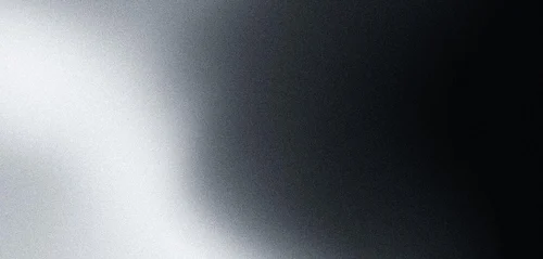 Reef Origin | Our Origin - We are a pioneer in the market