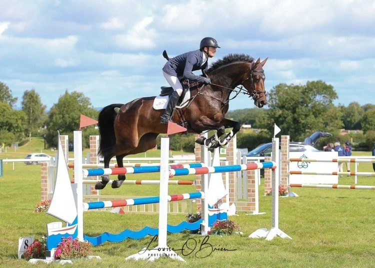 Horses For Sale — CAUNTON MANOR STUD