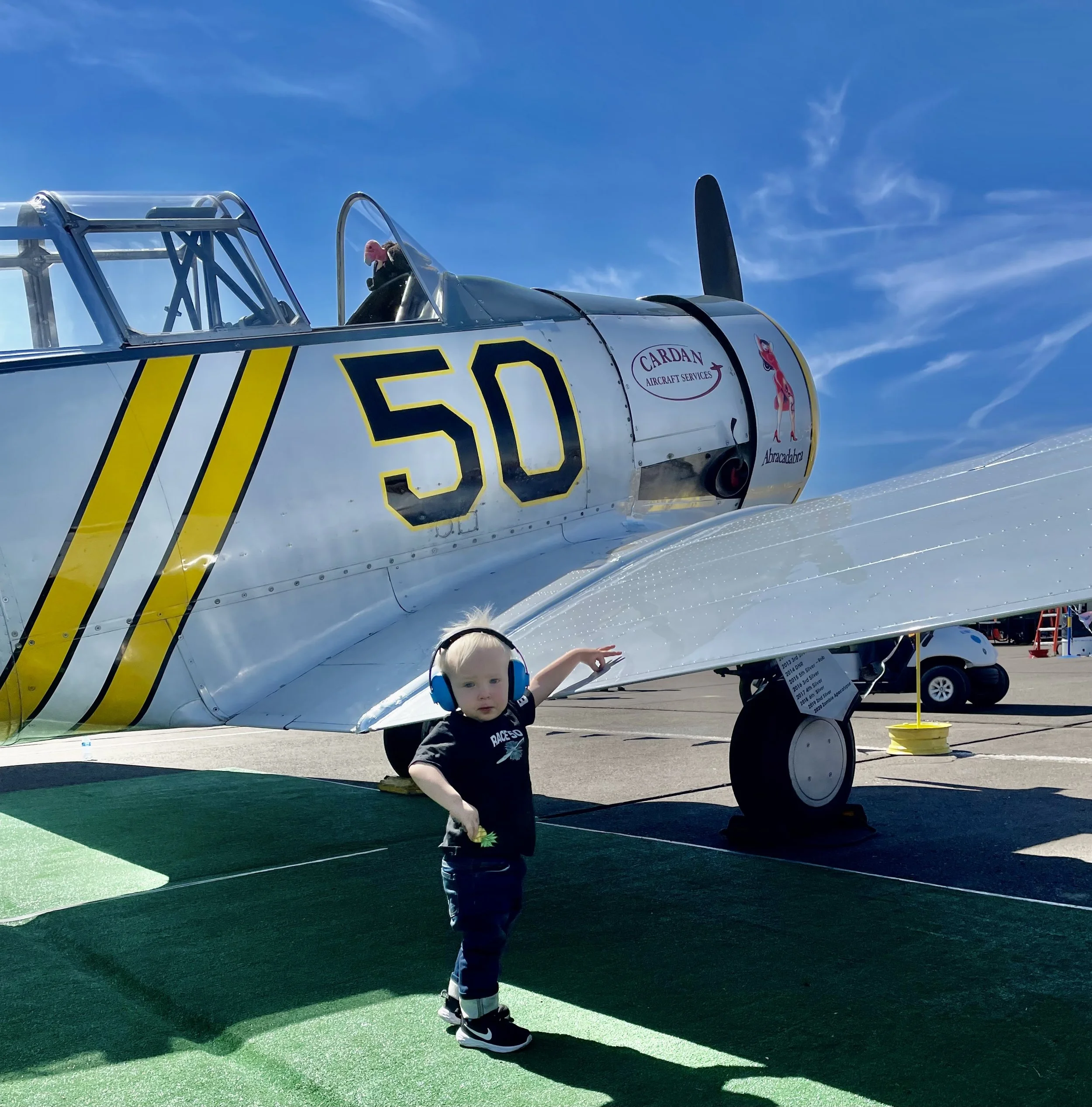 Cardan Aircraft Services