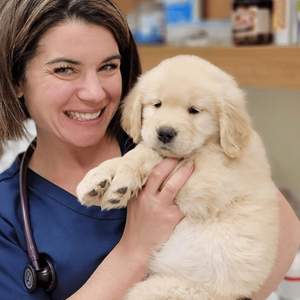 North Idaho's Trusted Vet - Pend Oreille Veterinary Services