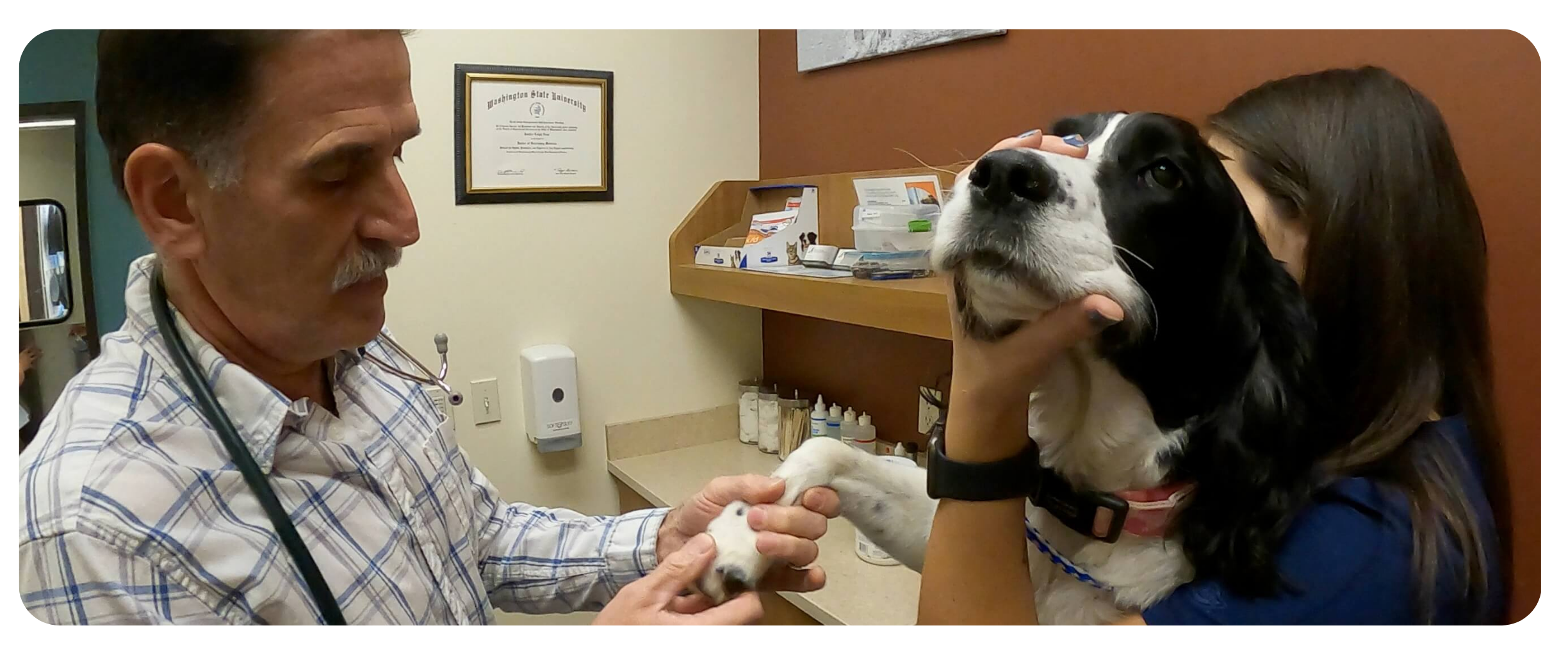 Premier Pet Shop and Vet — Pend Oreille Veterinary Services