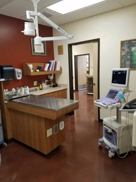 North Idaho's Trusted Vet - Pend Oreille Veterinary Services