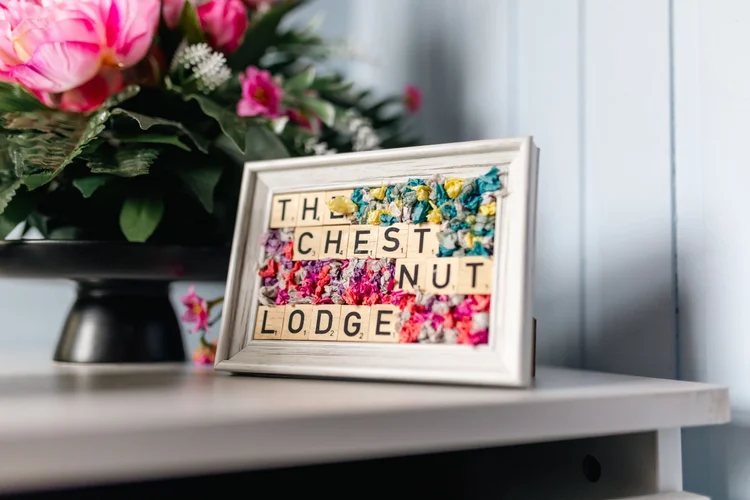Chestnut Lodge — Healthcare Ireland