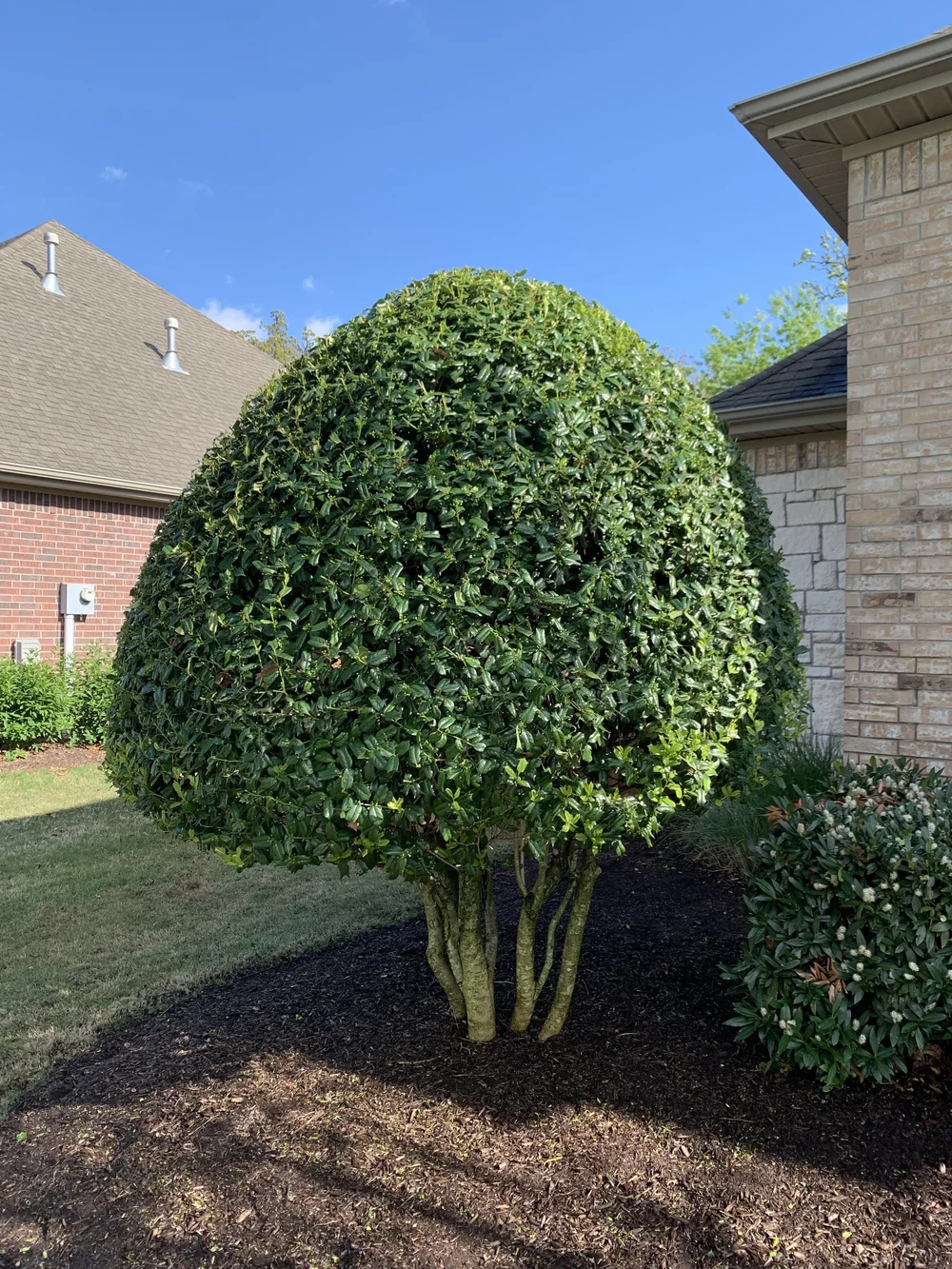 Soto Scapes | Hardscape and Landscaping Business