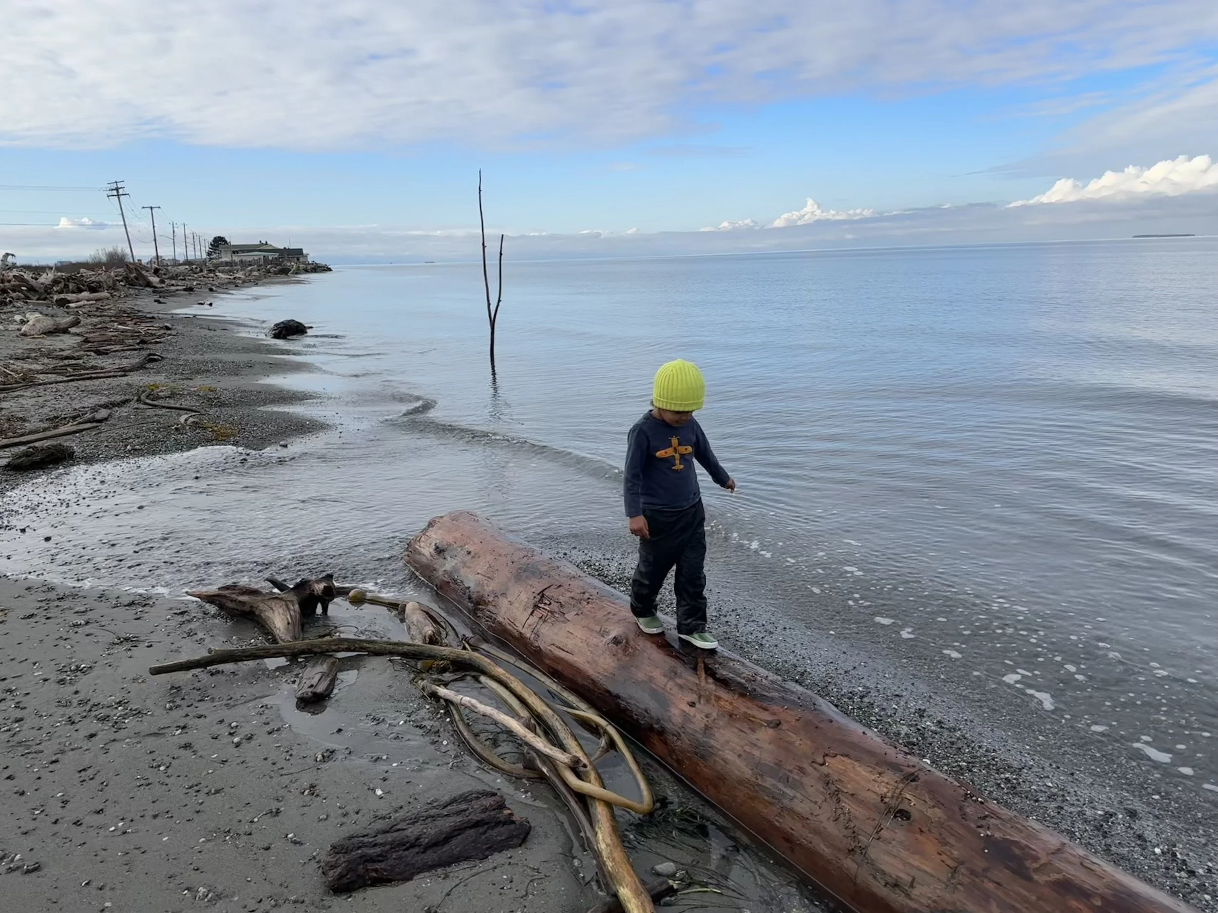 FAQ — Nurtured Sprout Caregiving