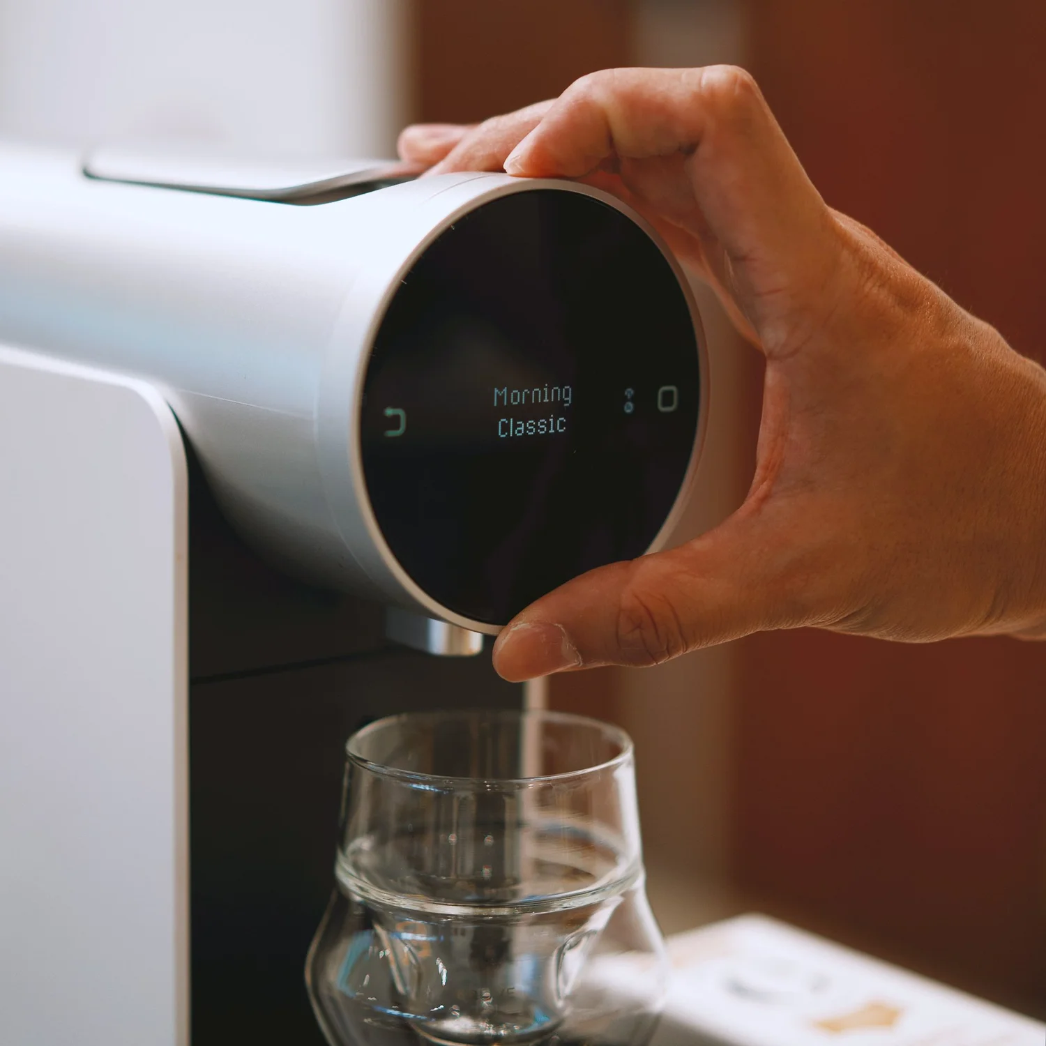 Morning | Destination for Specialty Coffee Capsules in River Valley ...