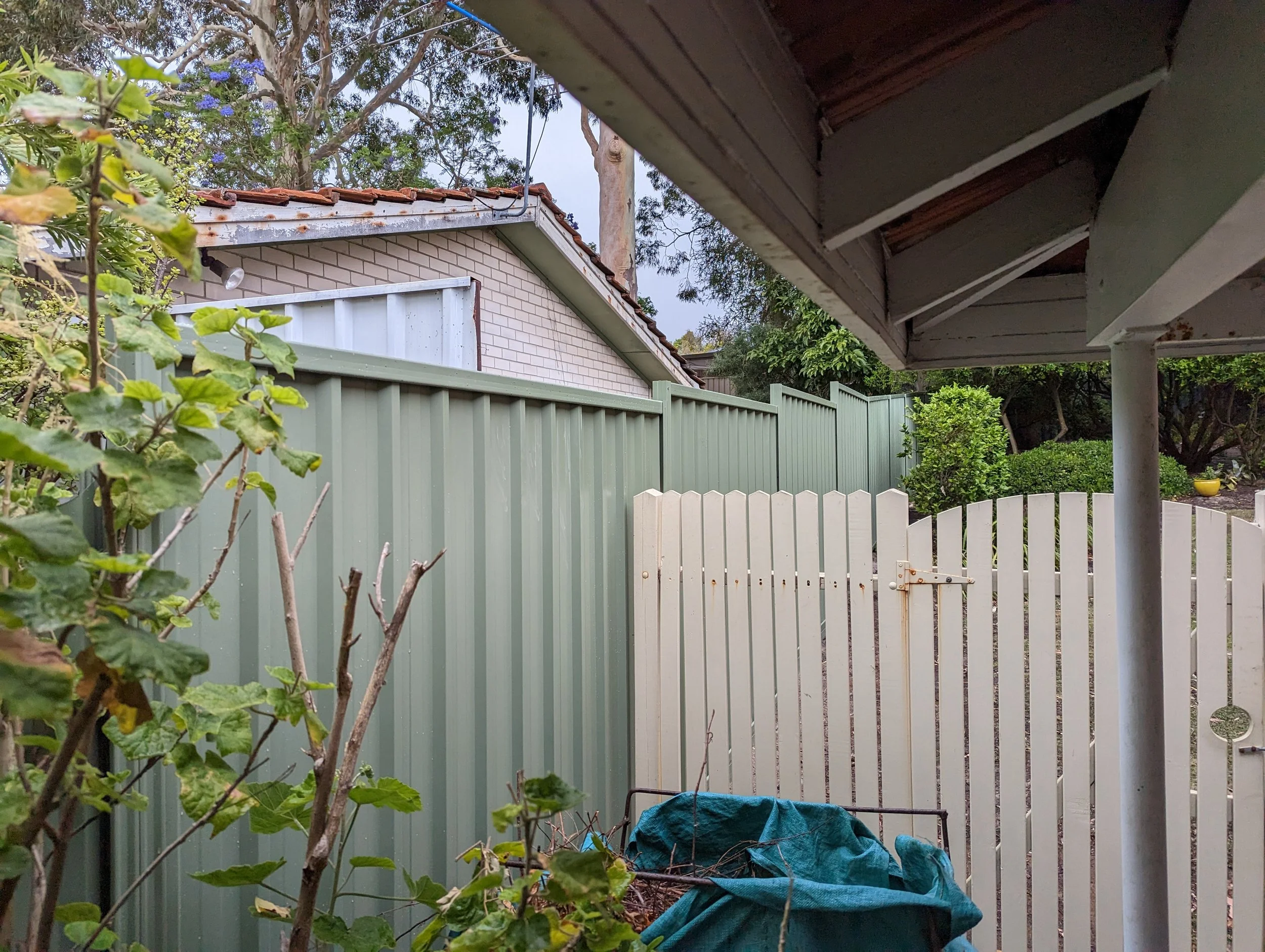 Episode 1 - The Beginning — CBF Fencing