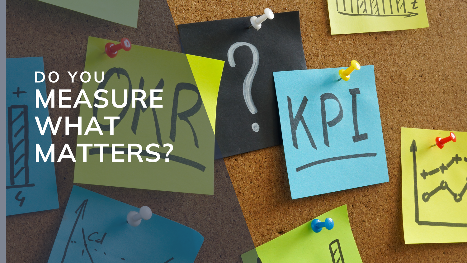 Do you measure what matters? — Wolf Medical