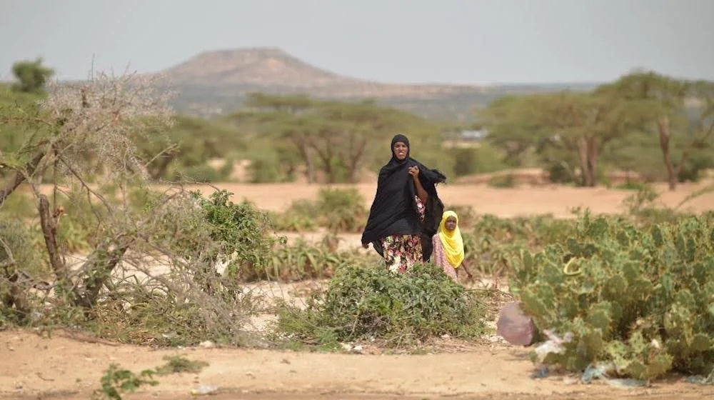 SWANA Women in a Changing Climate — Climate Sirens